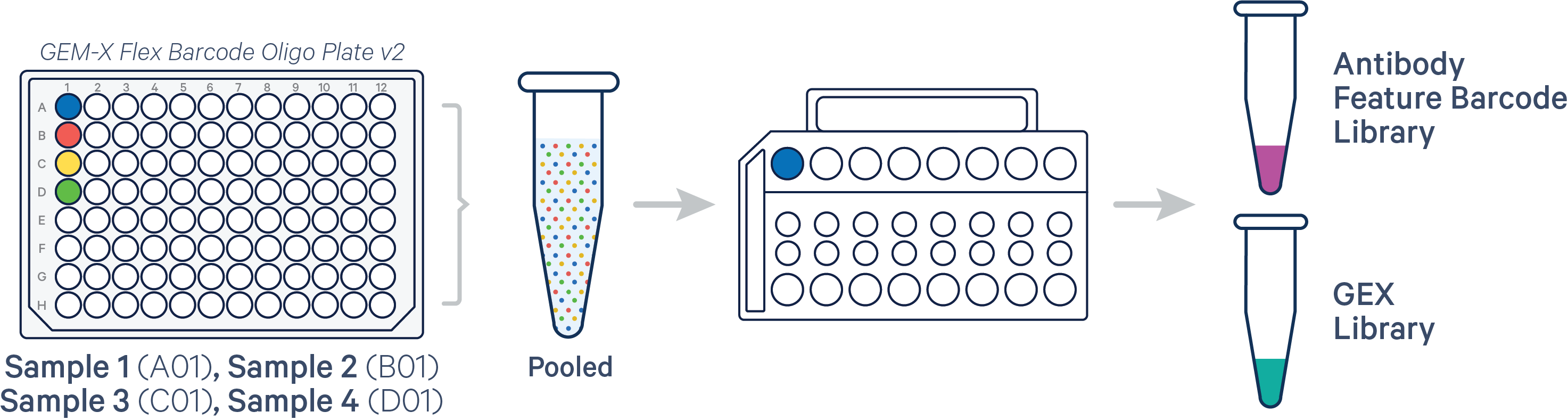 Flex v2 Gene Expression & Feature Barcode Analysis with Cell Ranger multi (Singleplex ...